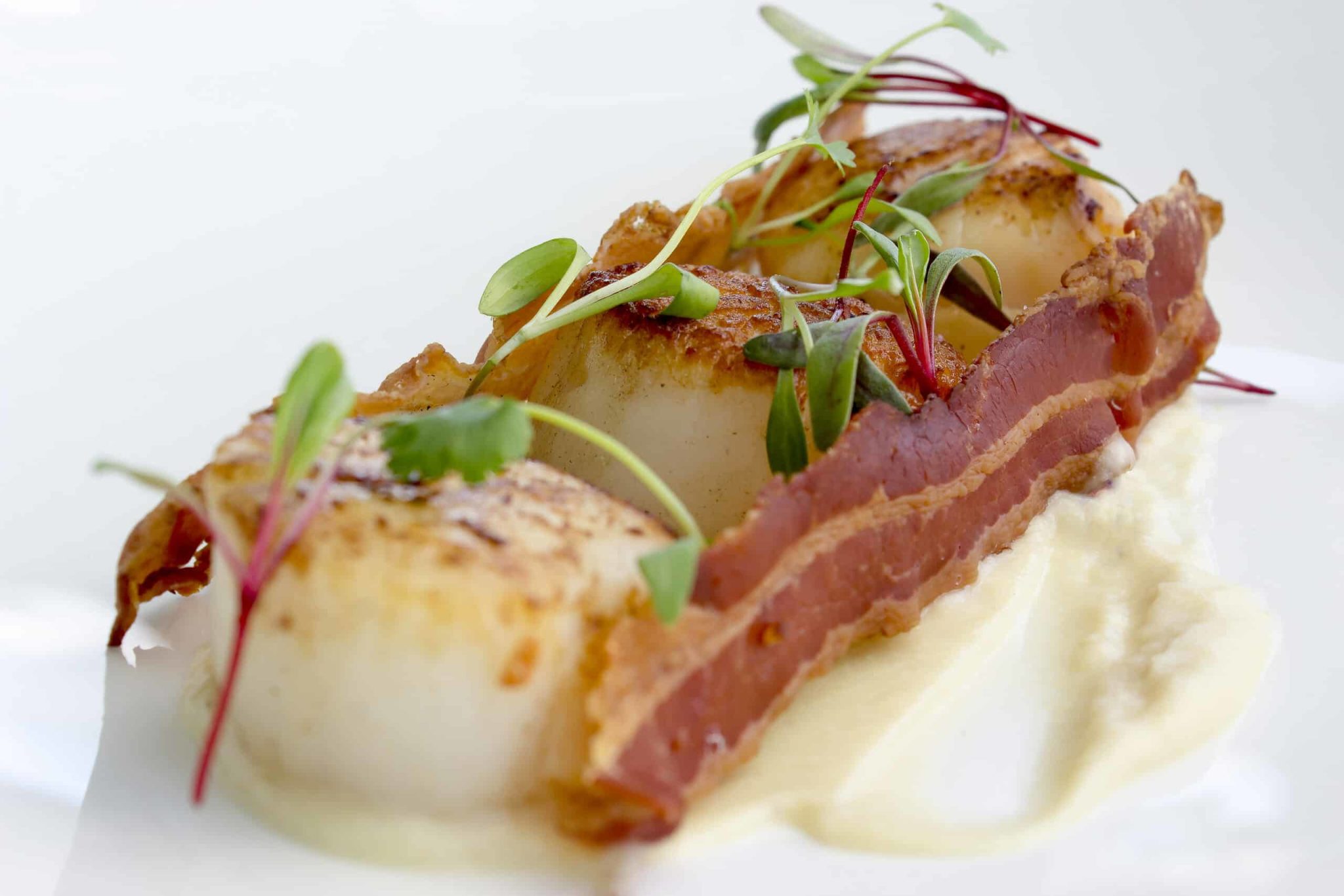 Five Ways to Cook and Serve Salsify -- Harvest to Table