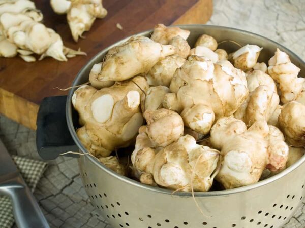 Five Ways to Cook and Serve Sunchokes -- Harvest to Table