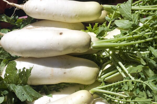 Ways to Serve Daikon -- Harvest to Table
