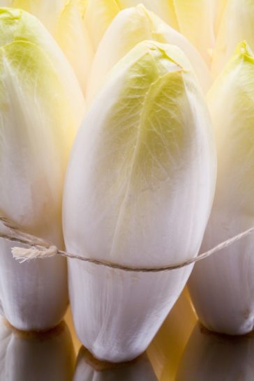 How to Cook and Serve Belgian Endive -- Harvest to Table