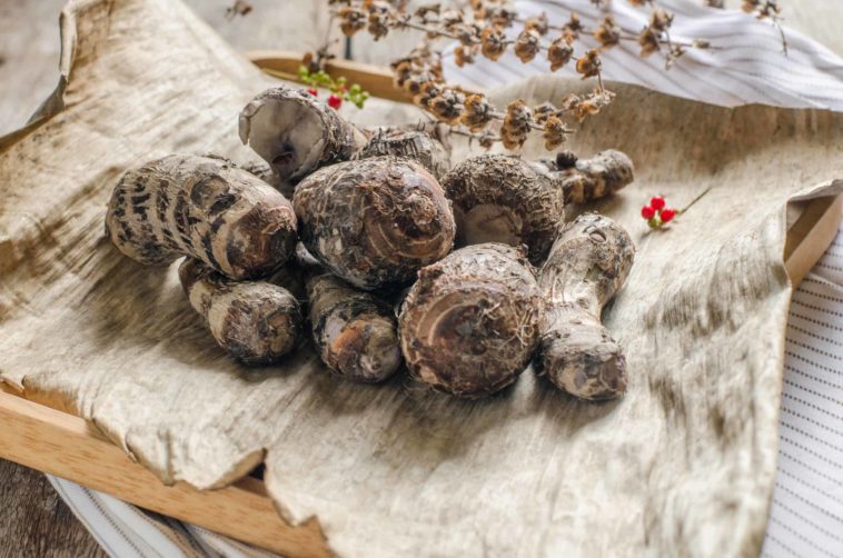 Tuber Vegetables Archives - Harvest to Table