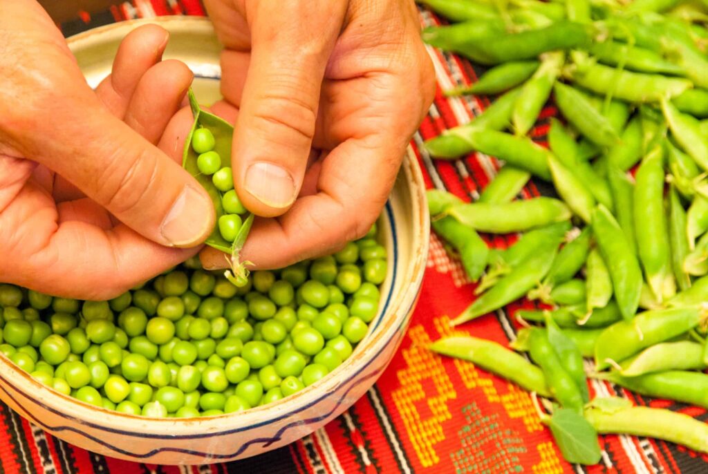 How to Cook and Serve Garden and Snap Peas -- Harvest to Table