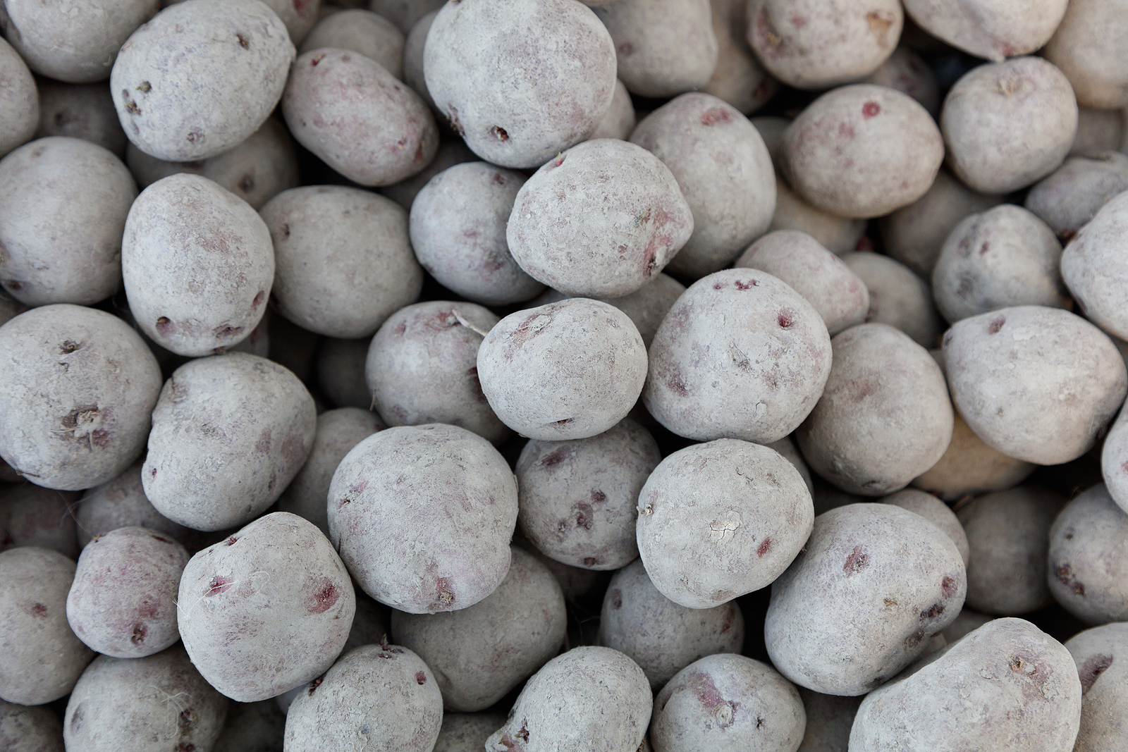 Potato Types and Varieties: Quick Guide