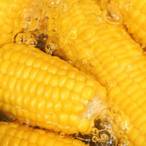 Sweet Corn Pests and Diseases: What to Watch For