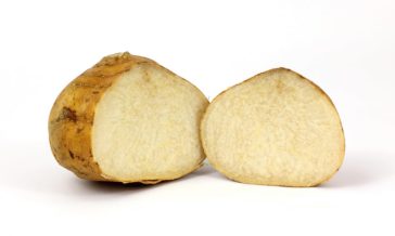 How to Serve Jicama Raw or Cooked -- Harvest to Table
