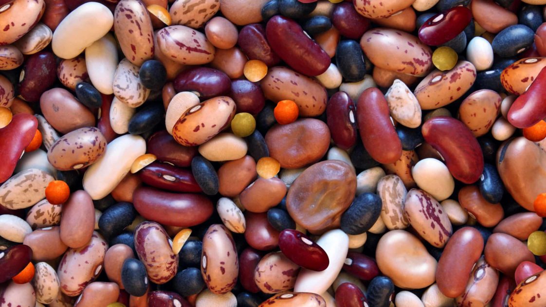 Five Ways to Cook and Serve Fava Beans -- Harvest to Table