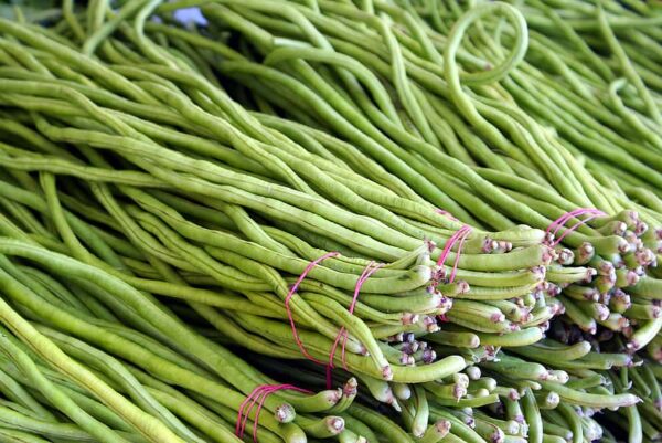 Cooking and Serving Yard-Long Beans - Harvest to Table