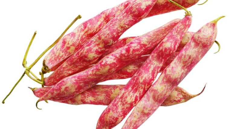 Cooking and Serving Yard-Long Beans - Harvest to Table