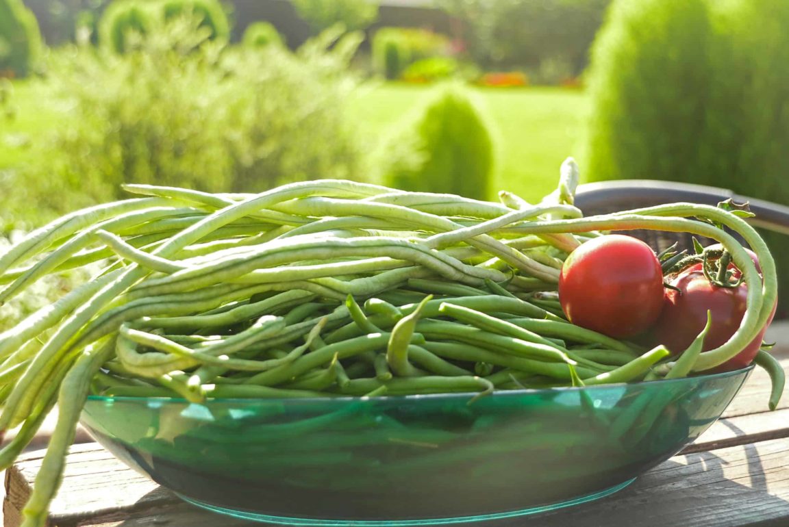 Cooking and Serving Yard-Long Beans - Harvest to Table