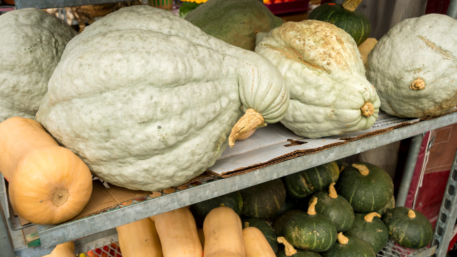 Watermelon Flavor Pairings to Complement Your Harvest Table