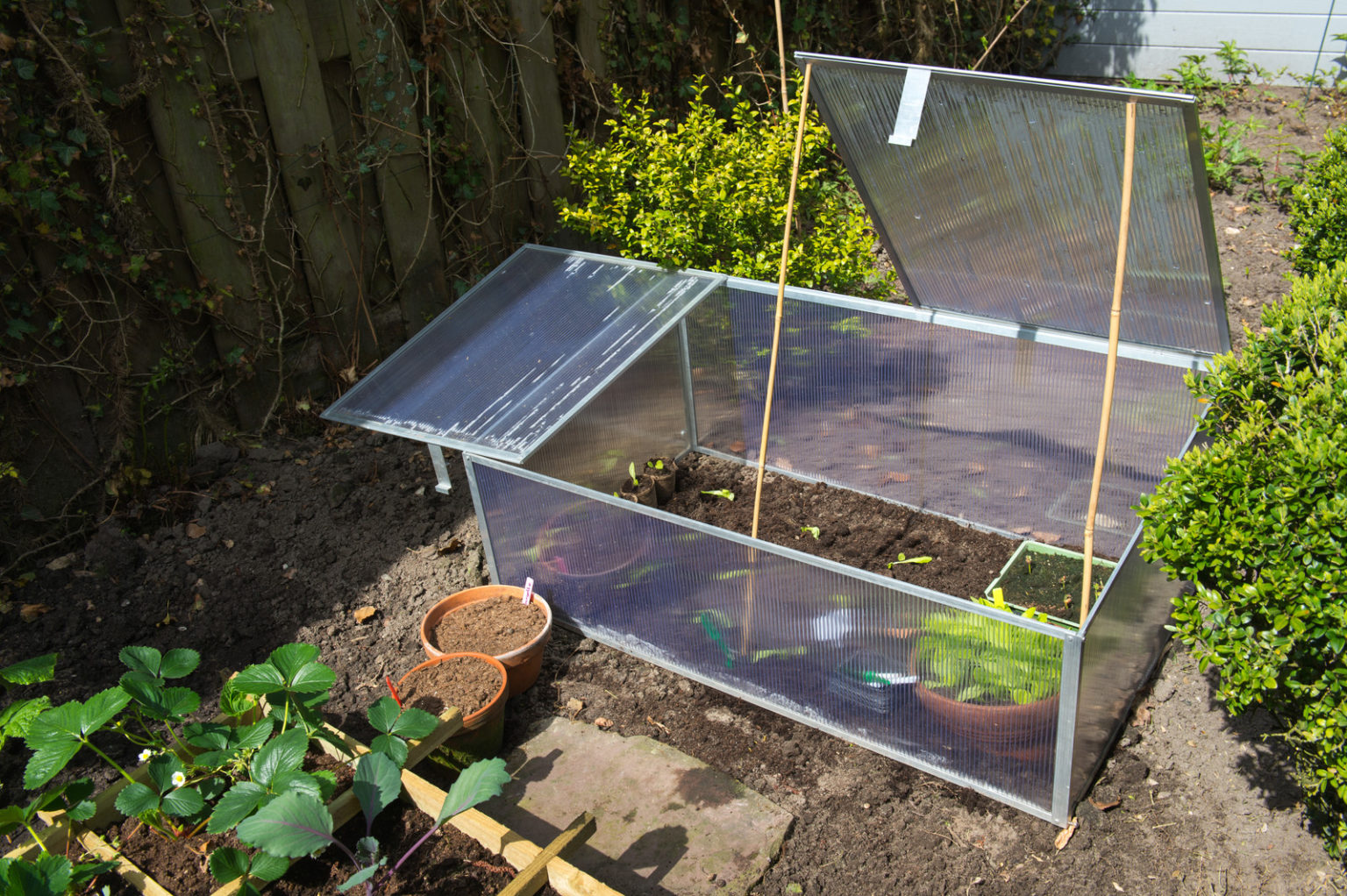 Vegetable Garden Cold Frame -- Harvest to Table