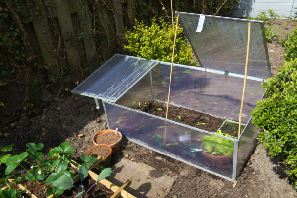 Types of Cold Frames to Extend the Season