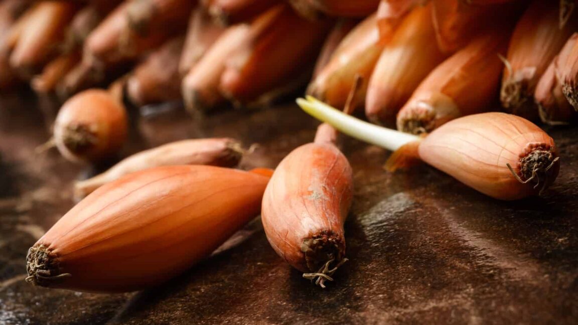 Shallots: Kitchen Basics - Harvest to Table