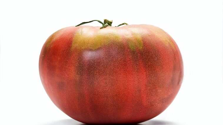 Tomato Flavor Explained -- Harvest to Table