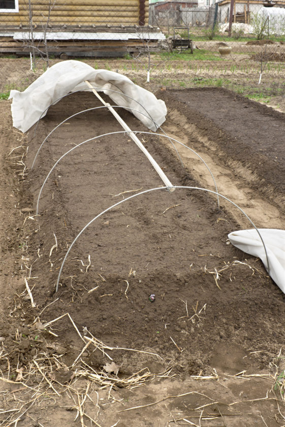 Plastic Tunnels to Grow Vegetables -- Harvest to Table