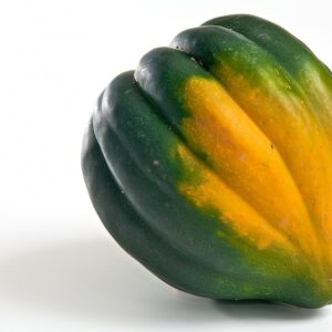The Best Winter Squash Varieties for Your Garden