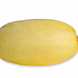 The Best Winter Squash Varieties for Your Garden