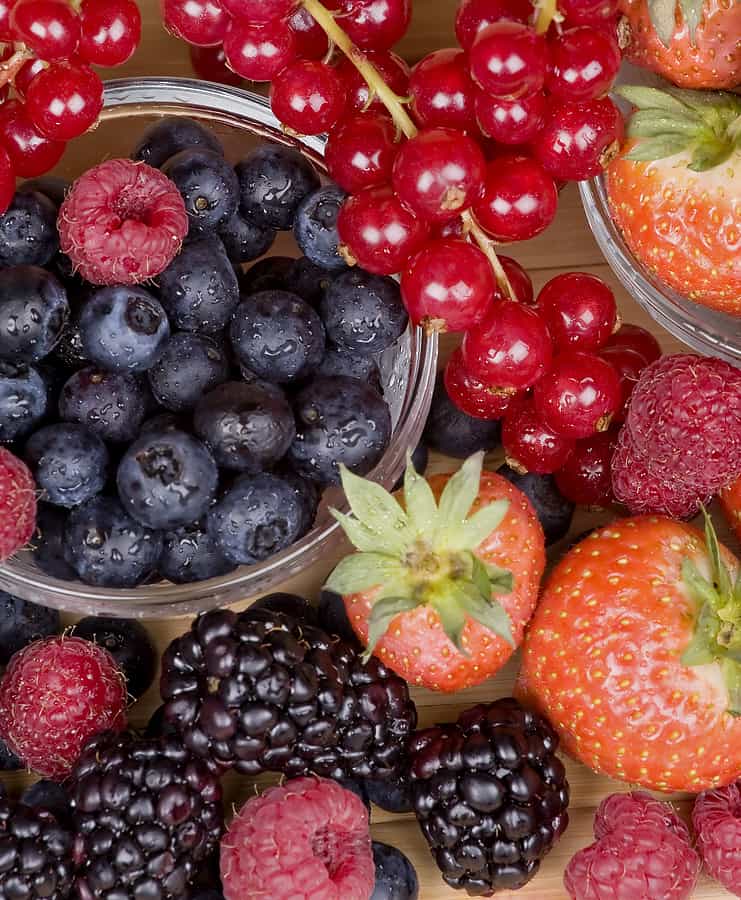 Berry Harvest Quick Tips - Harvest to Table