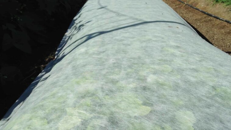 Row Covers, Floating Row Covers, Garden Blankets, and Shade Cloth