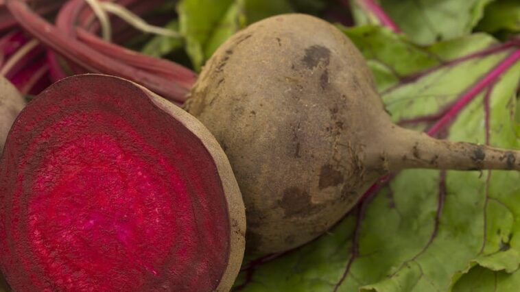 Baby Beets: Steamed, Baked, Pickled - Harvest to Table