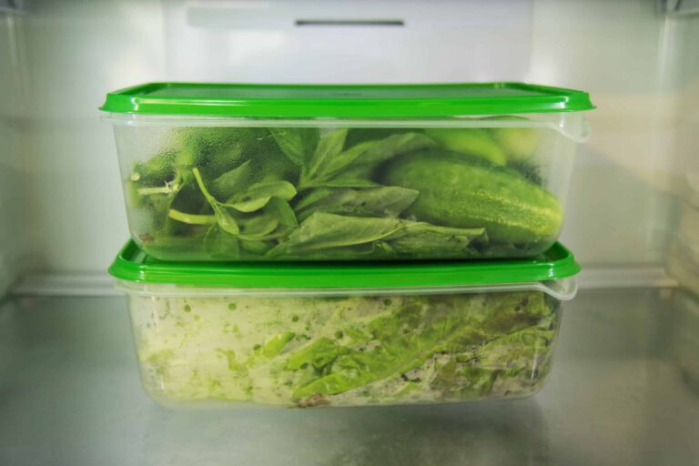 How to Store and Preserve Cucumbers for Freshness and Flavor