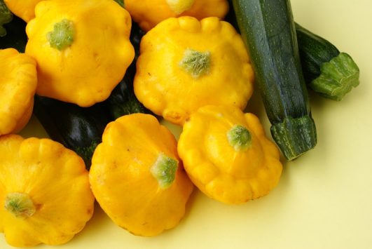 How to Harvest and Store Summer Squash - Harvest to Table