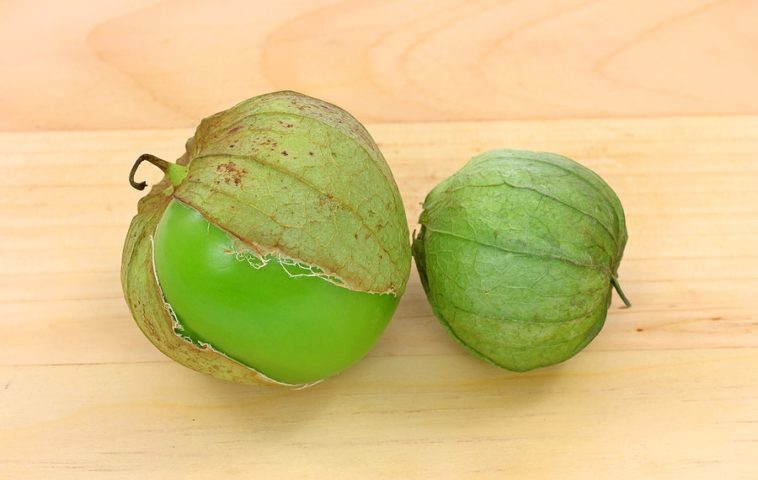 How to Harvest and Store Tomatillos -- Harvest to Table