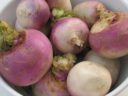 How to Harvest and Store Turnips -- Harvest to Table