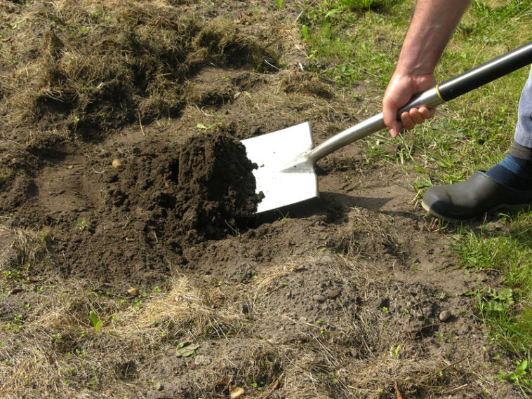 Tilling, Digging , Forking the Vegetable Garden -- Harvest to Table