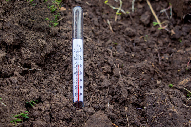 Soil and Air Temperature Growing Vegetables -- Harvest to Table