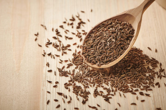 How to Plant, Grow, and Harvest Caraway - Harvest to Table