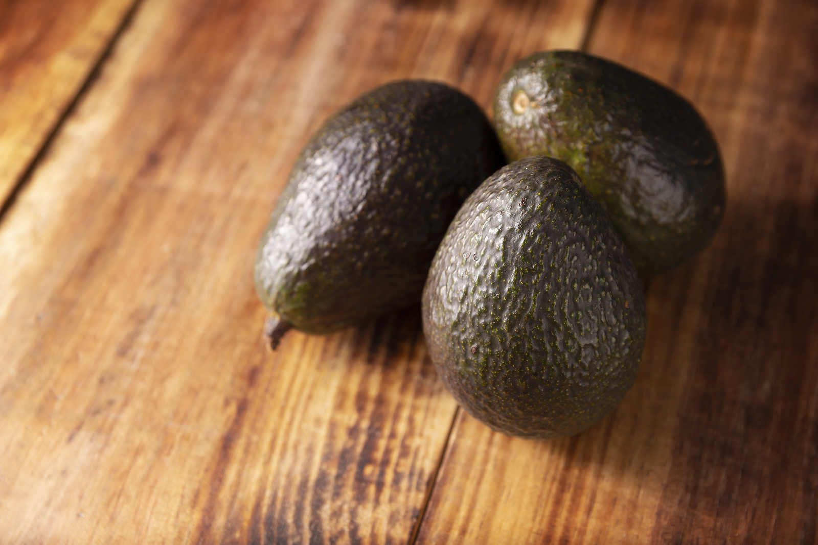 How to Plant and Grow Avocados - Harvest to Table