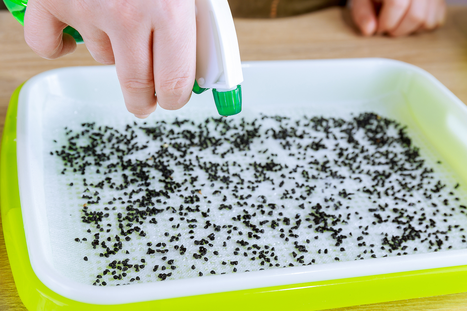 How to Plant, Grow, and Harvest Microgreens -- Harvest to Table