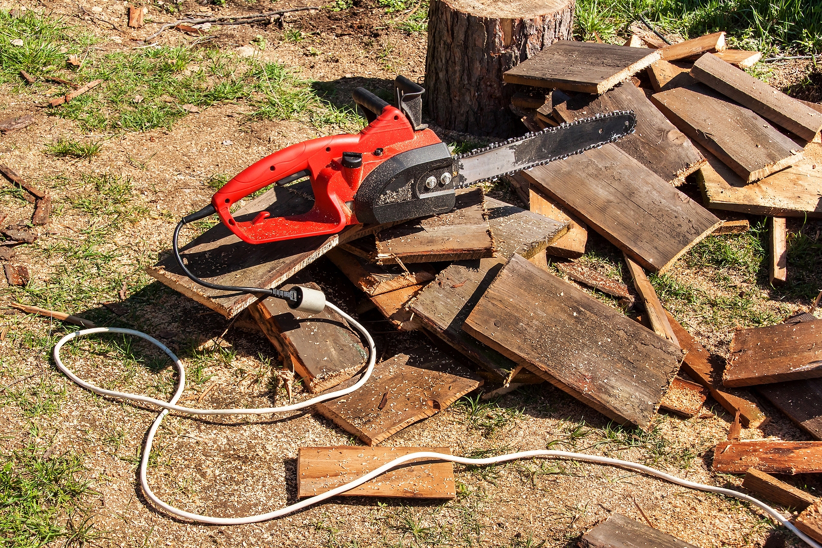 Ultimate Chainsaw Buyer's Guide for Your Needs