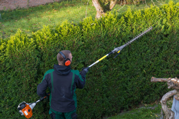 Best Hedge Trimmers for Your Garden: Buyer's Guide