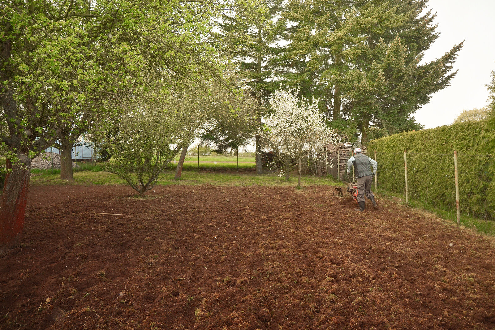 Best Rototillers for Small Gardens (Compare & Buy)