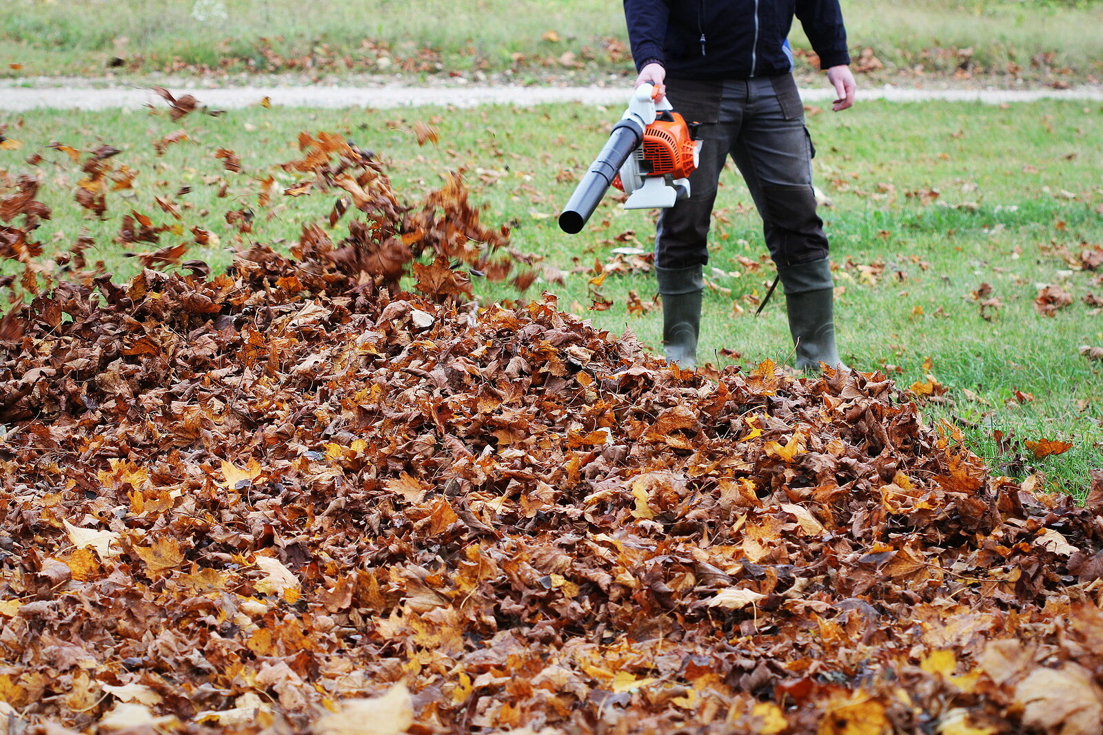 Ultimate Leaf Blower Buying Guide for Gardening Success