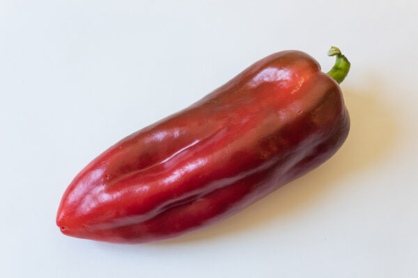 How to Plant and Grow Hot Peppers: A Gardener’s Guide