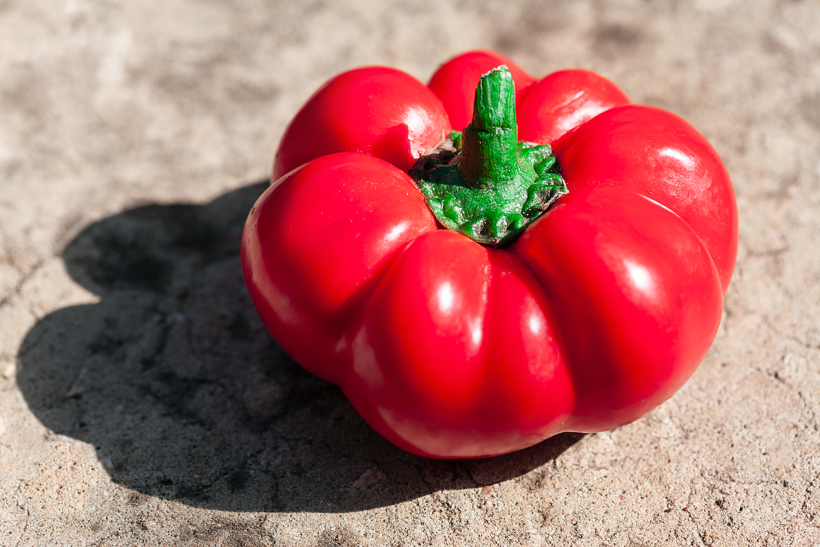 How to Plant and Grow Hot Peppers: A Gardener’s Guide