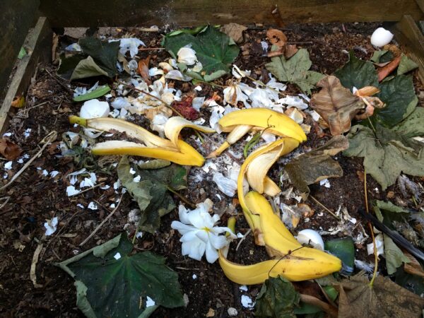 How to Make Compost for Your Vegetable Garden-Harvest to Table