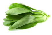 40 Chinese Vegetables to Grow -- Harvest to Table