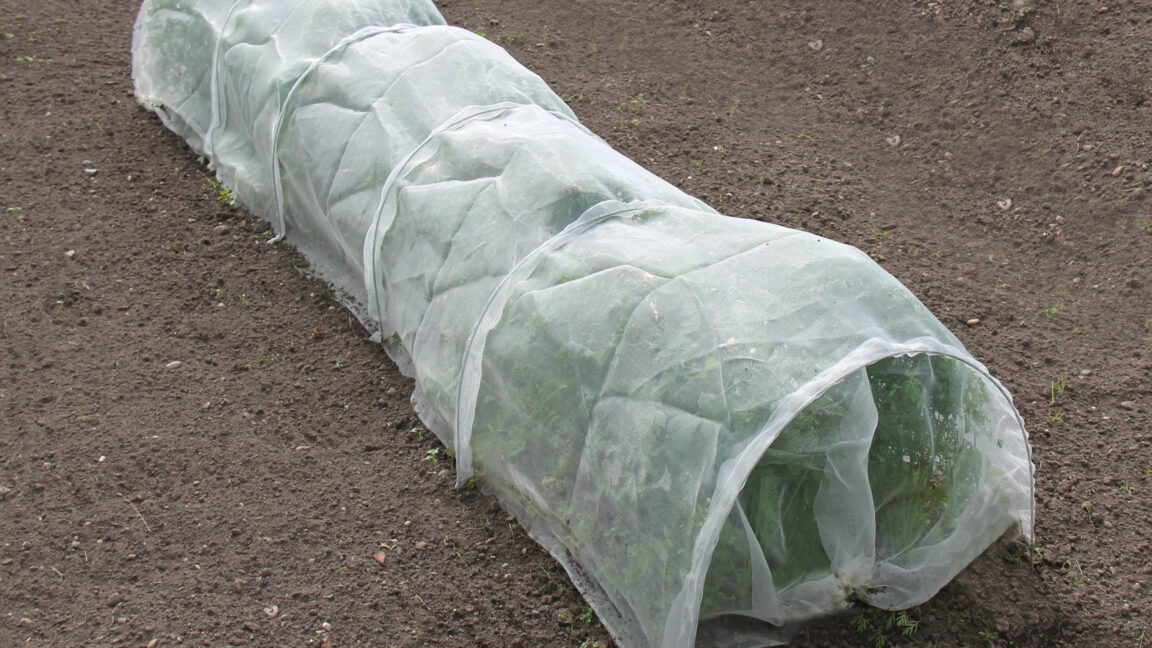 Vegetable Seedling Protection - Harvest to Table