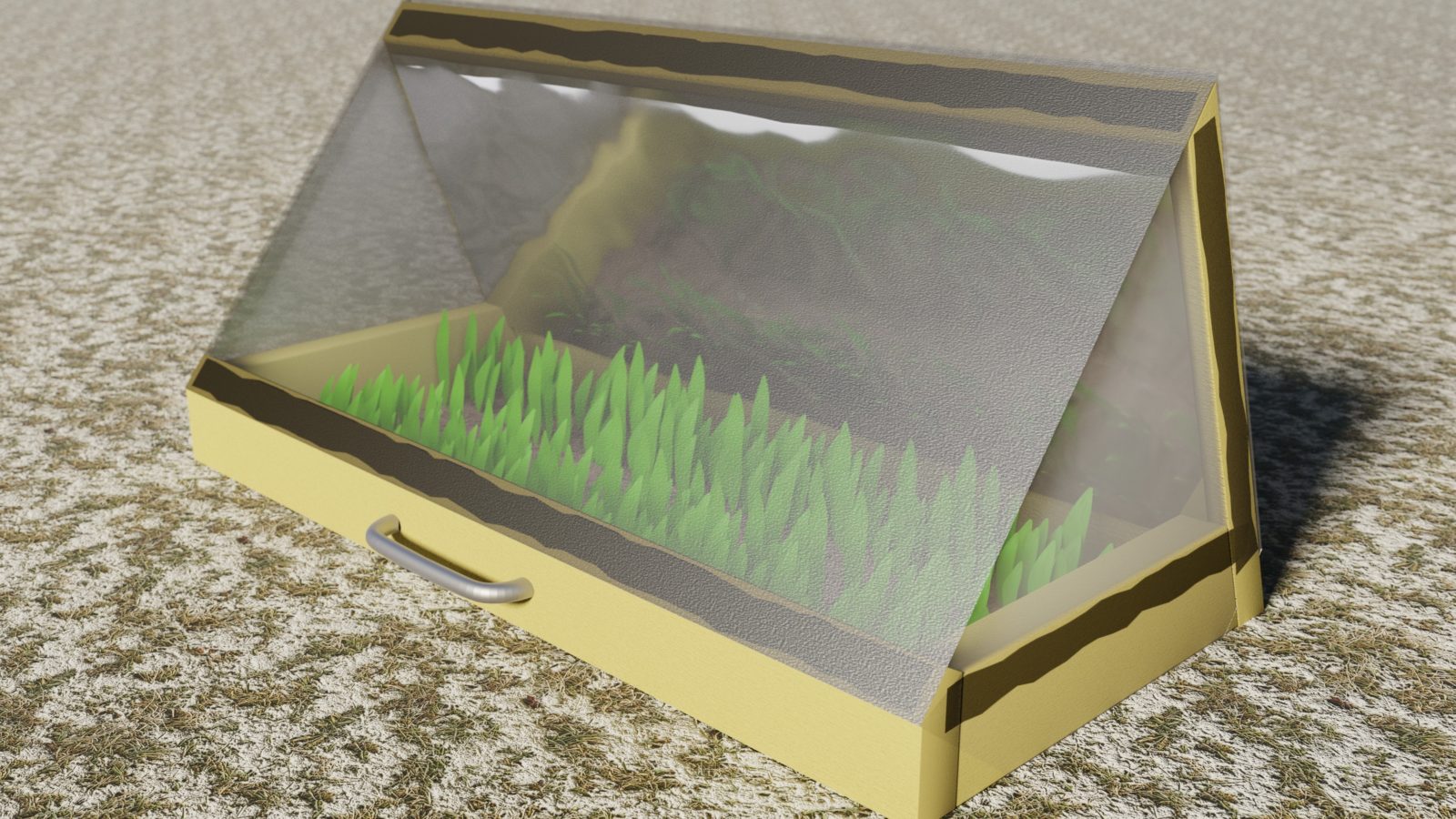 Vegetable Seedling Protection - Harvest to Table