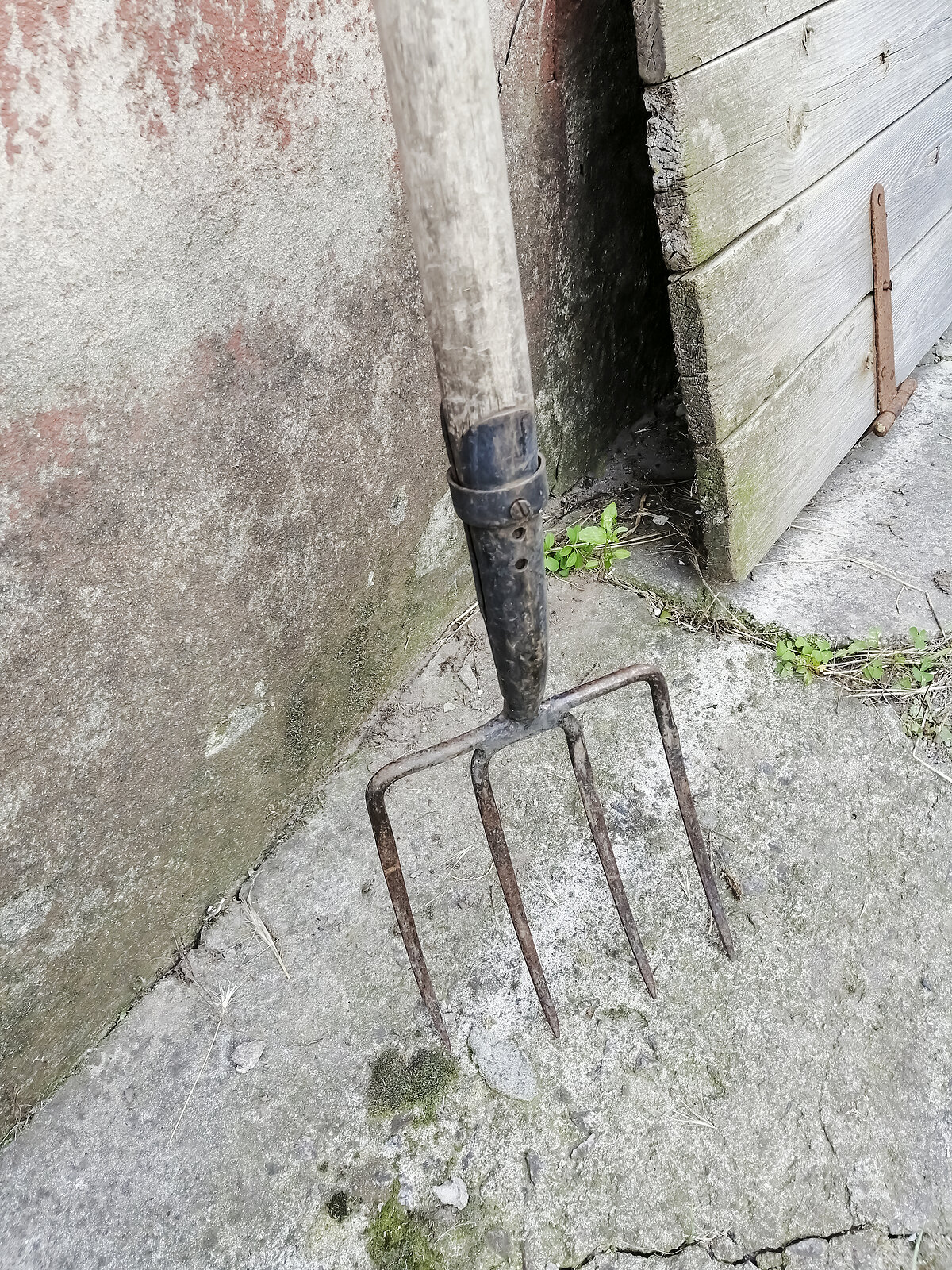 Best Garden Forks for Home Gardeners (Buyer’s Guide + Soil-Building Power)
