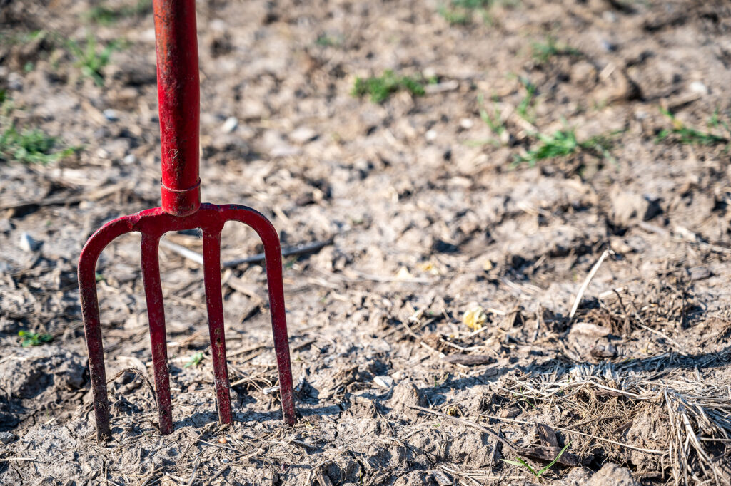 Best Garden Forks for Home Gardeners (Buyer’s Guide + Soil-Building Power)