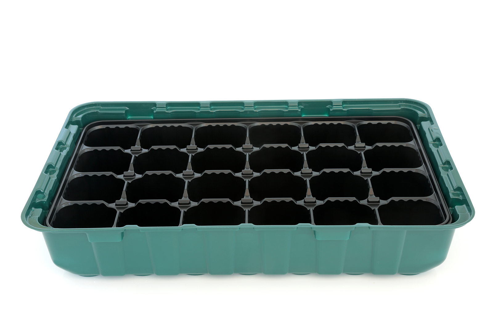 Best Seed Trays for Home Gardeners (Buyer’s Guide + What Actually Works)