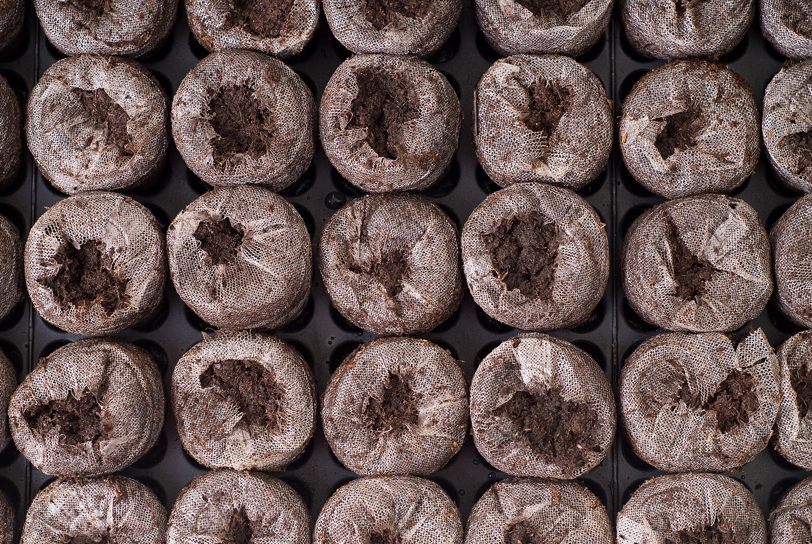 The Best Peat Pellets: What Actually Works