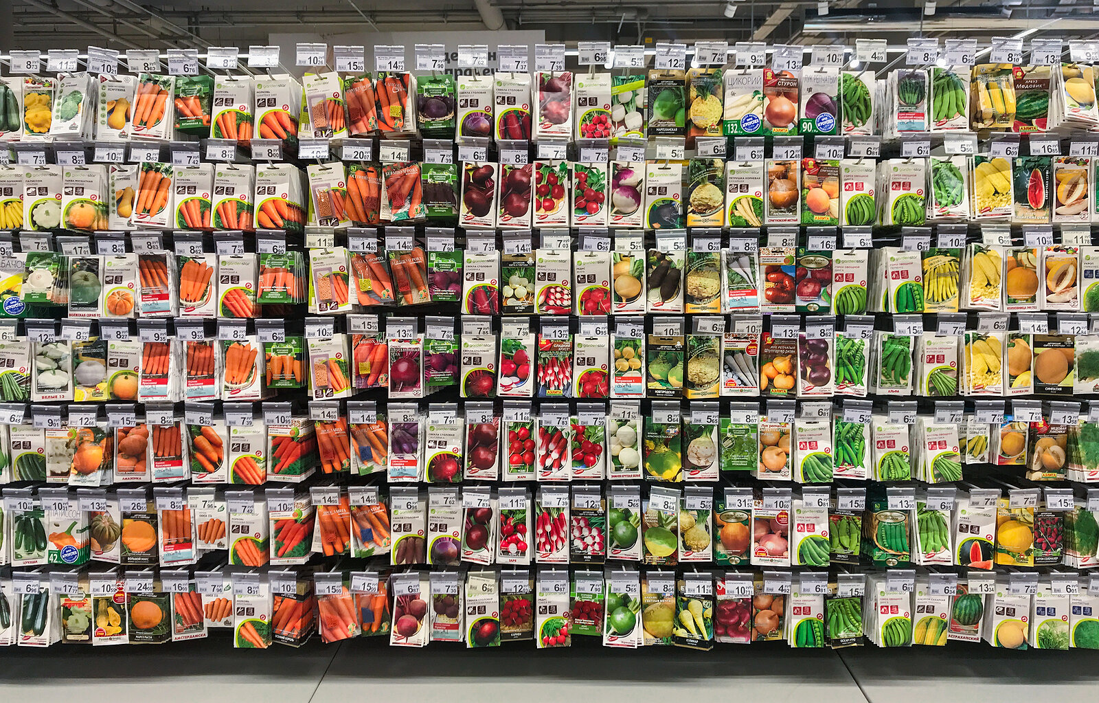 Best Vegetable Seeds for Home Gardeners (Buyer’s Guide + High-Yield Picks)