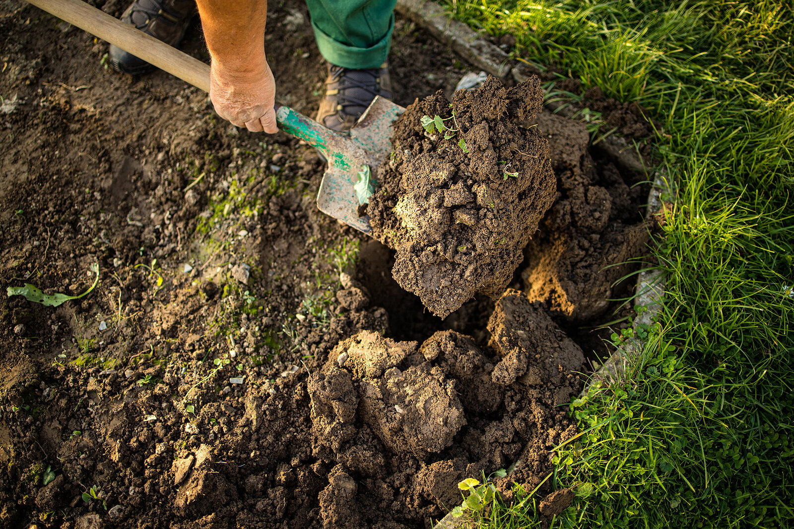French Intensive Gardening - Harvest to Table