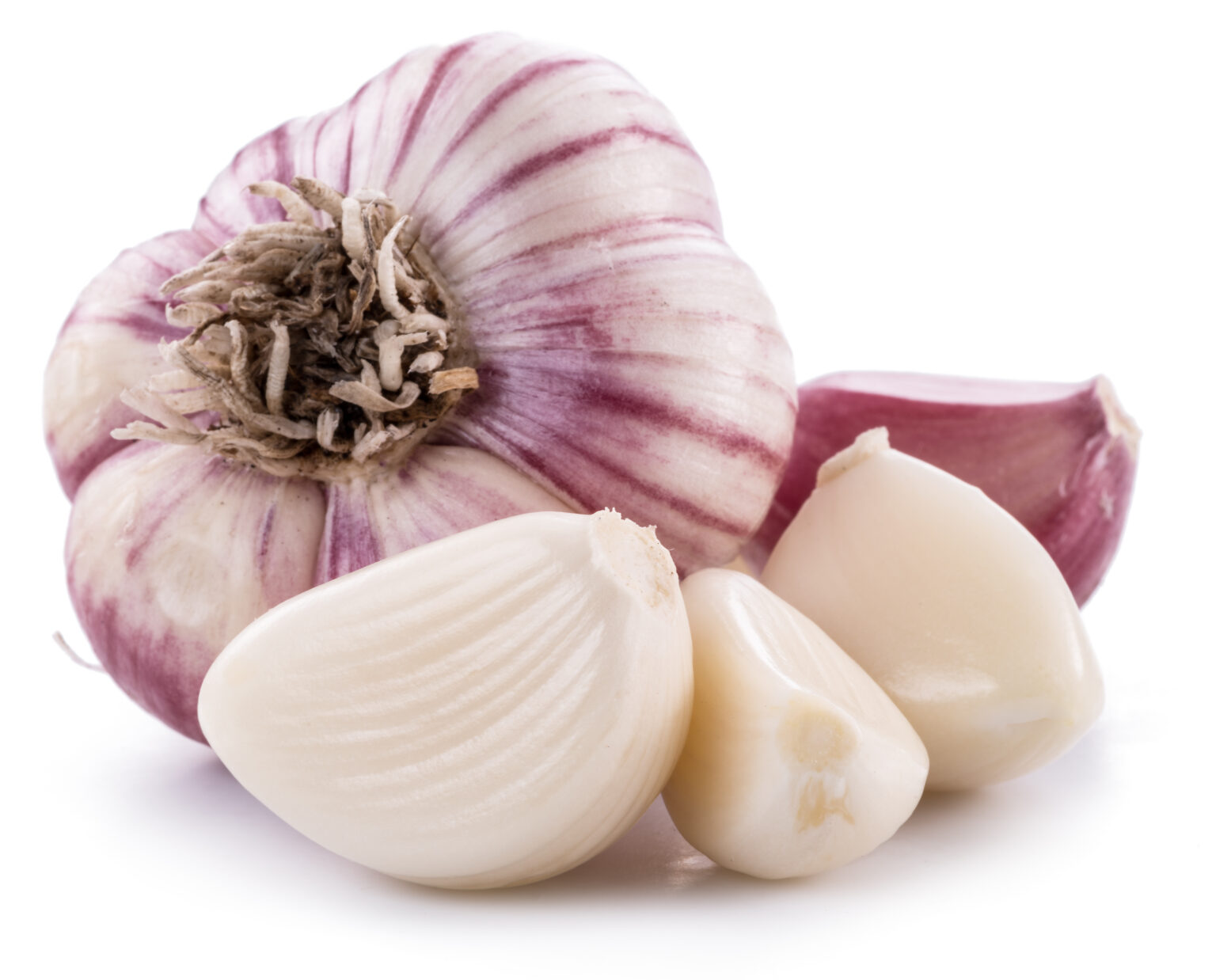Garlic Planting Calendar by Zone (Month-by-Month Guide)
